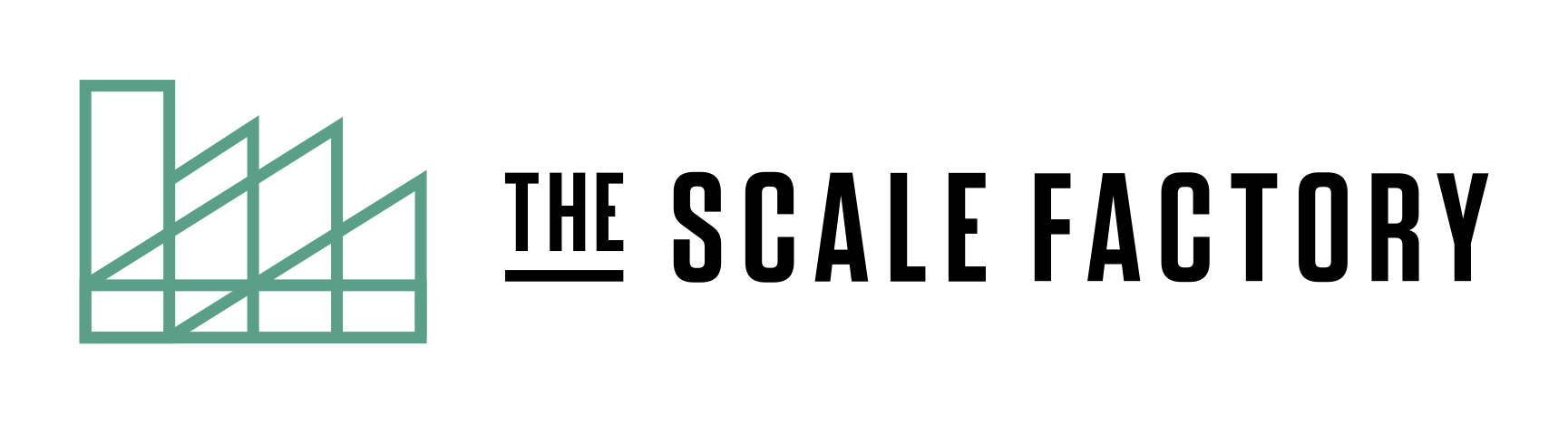 The Scale Factory - Sales & Marketing Coaching - Scalewise Case Study