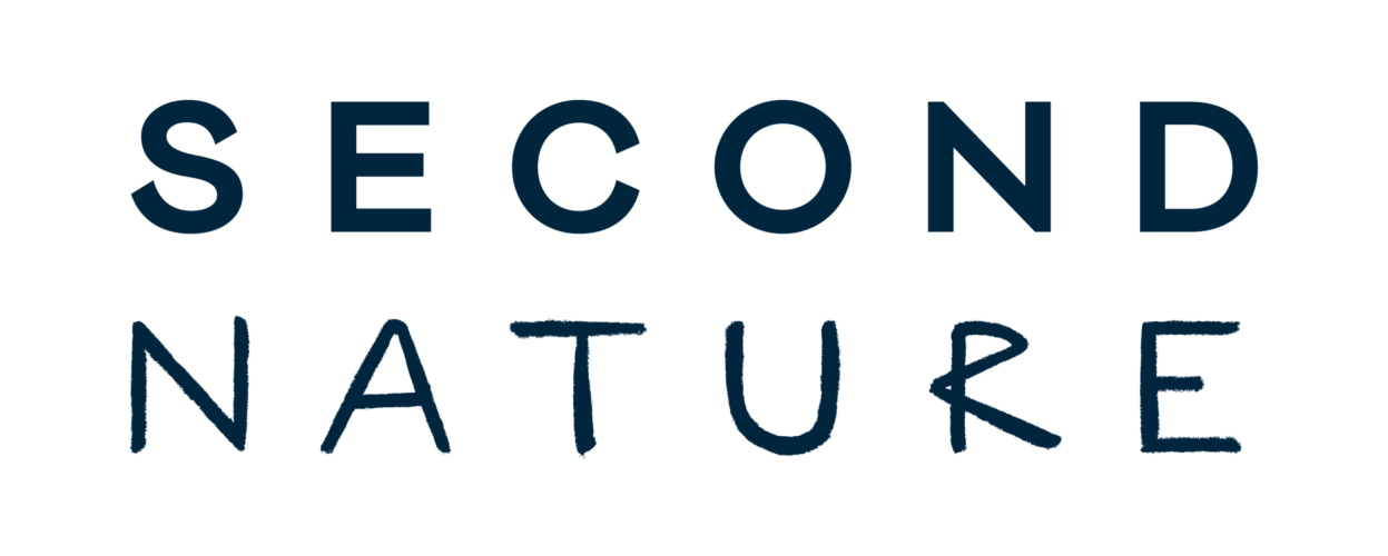 Second Nature - Development Coaching - Scalewise Case Study
